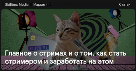 Что такое стрим и как заработать на стриминге / Skillbox Media