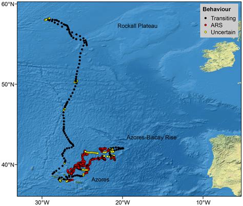 Hierarchical Switching State Space Model Derived Locations Of Blue Download Scientific Diagram