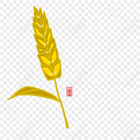 밀 귀 Png 일러스트 무료 다운로드 Lovepik