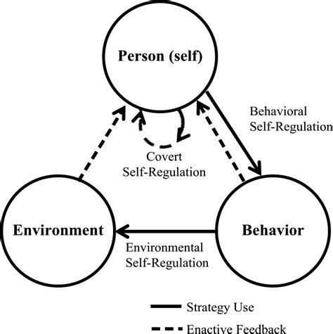 Social Cognitive View Wholeselling Cheap