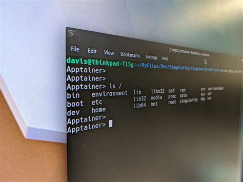 Each Way To Run Apptainer Containers By Davis Catherman Medium