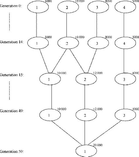 The Demography Used In Simulating The Fourth Dataset Generation 0 Download Scientific Diagram