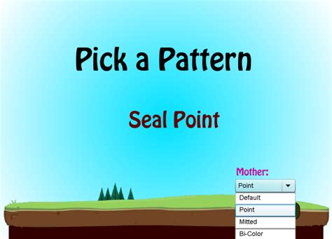 New Color Pattern Predictor