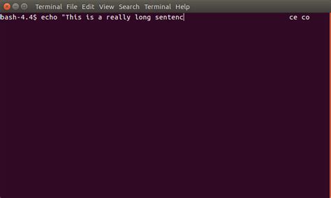 Ubuntu Bash Messed Up Display For Long Lines Unix And Linux Stack