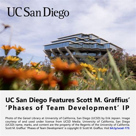 Leadership Tuckman Team Teamwork Brucetuckman Forming Storming