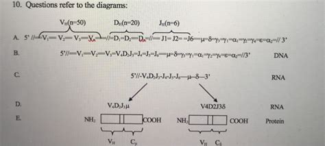 Solved 11 Isotype Switching Occurs When The B Cell Gets The