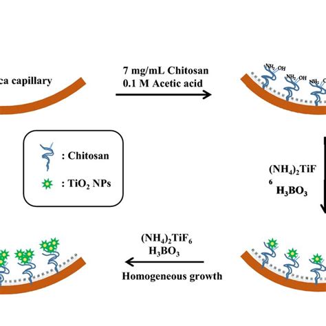 The Fabrication Of Tio2cs Coated Capillary Column Download