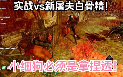 纯情小细狗大战猫步白骨精 追我的屁 追我的屁 哔哩哔哩视频