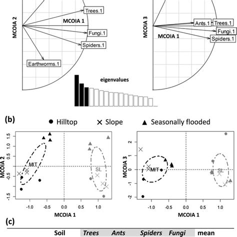 A Correlations Between The First Axes Of Separate Pca Performed On Download Scientific