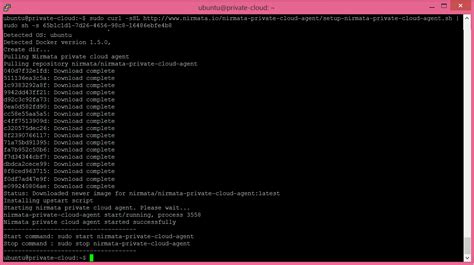 Private Cloud Container Orchestration Using Nirmata