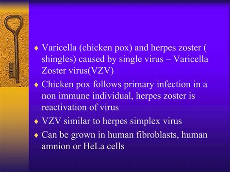 Varicella Zoster Ppt Vzv Chicken Pox Shingles Ppt