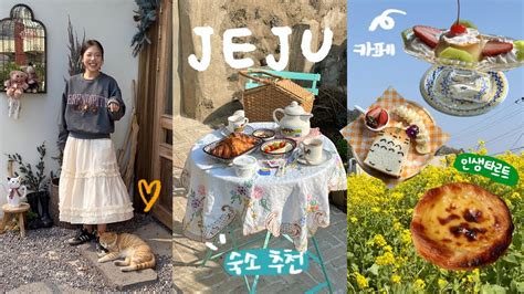 제주 Vlog🌼 봄의 제주 만끽하기 솥뚜껑 흑돼지숙소 추천오마코냥이 천국인생에그타르트 Youtube