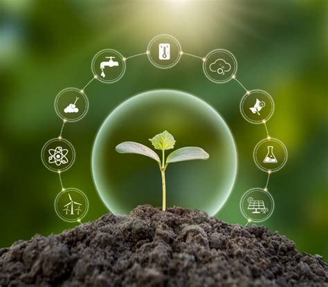 Predictive Crop Yield Models Leveraging Ai To Forecast Harvest Outputs In Rice Cultivation