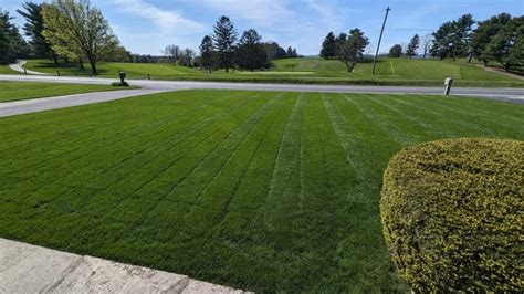 Same Time Different Directions Stripe Darkness Rlawncare