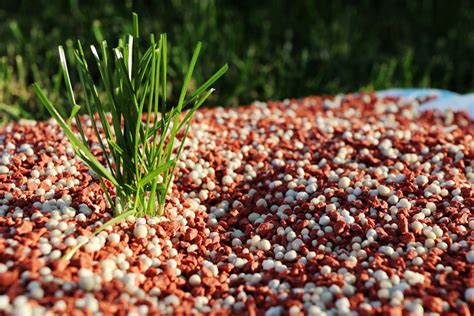 How To Read Fertilizer Numbers Golf Course Lawn Store