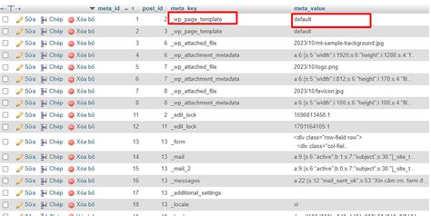 Hướng dẫn cách sử dụng WP query và vòng lặp Loop trong wordpress