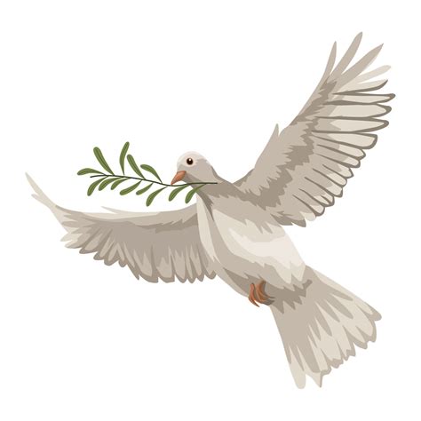 Dove Flying With Olive Branch 11234368 Vector Art At Vecteezy