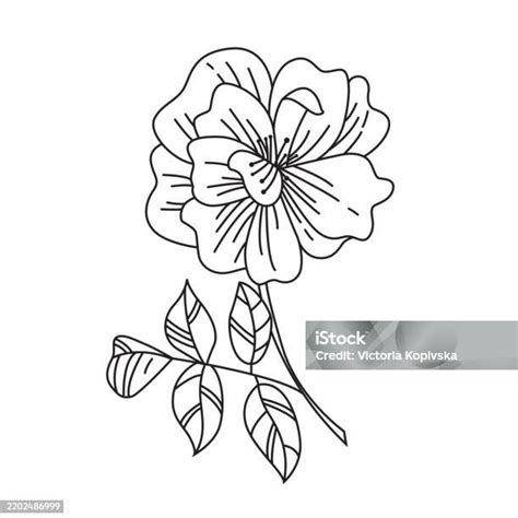 꽃 고립 윤곽선 그리기 어떤 목적에도 적합한 훌륭한 디자인 낙서 벡터 그림입니다 블랙 라인 색칠 페이지입니다 0명에 대한 스톡 벡터 아트 및 기타 이미지 Istock
