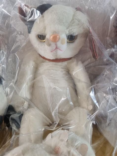 Cat Scratch Cat Tamino Maita Grumpy Cat Plush Hobbies And Toys Toys And Games On Carousell