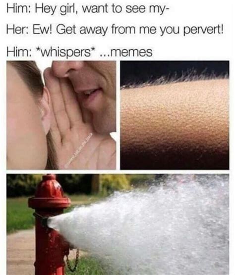 Whispers Memes Whisper In Ear Goosebumps Know Your Meme