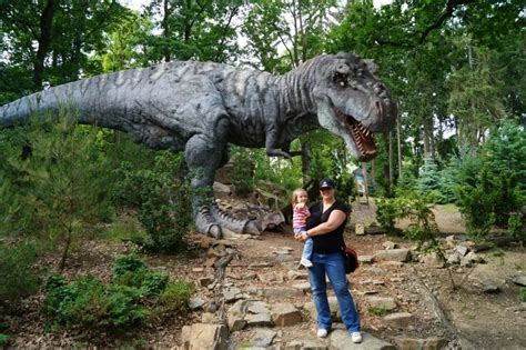 Динопарк спб — коллекция фото и изображений по теме ДзенРус
