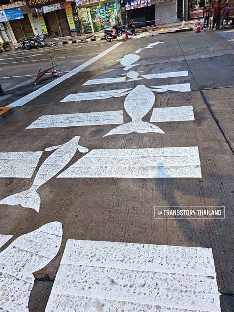 Trangstory ทางพะยูนลาย ทางม้าลาย สุดครีเอทีฟที่ตรัง 🐢🌊 พบกับทางม้าลายรูปพะยูนกำลังแหวกว่าย