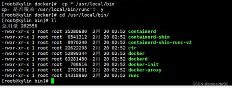 Docker容器与虚拟化技术：kylin 部署 Docker容器应用kylin Docker Csdn博客
