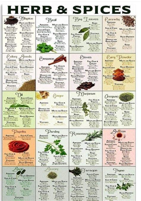 Herbs And Spices Chart Pdf Artofit