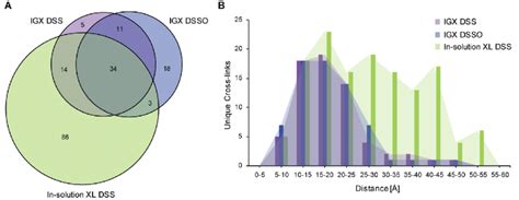 Comparison Of Igx Ms And In Solution Xl Ms Of Groel A E Coli Groel Download Scientific