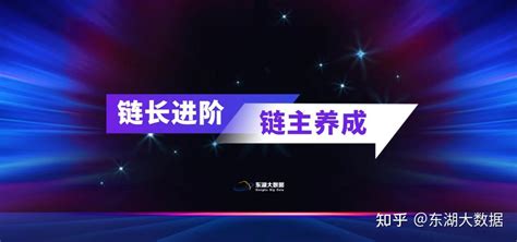 “链长”与“链主” 产业链招商强链解析 知乎