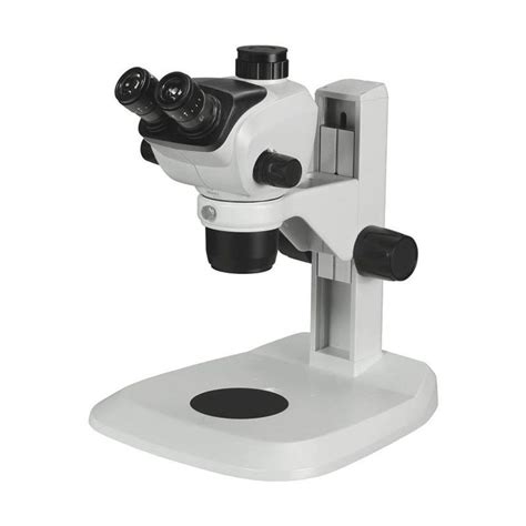 Stereo Microscopes A Guide To Types Uses And Choosing The Right One Scopelab