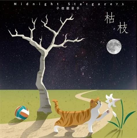 合友唱片 實體店面 子夜觀星手 枯枝 Cd 露天市集 全台最大的網路購物市集