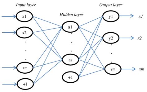 Structure Of An Autoencoder Download Scientific Diagram