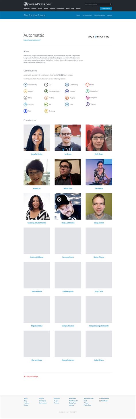 Security Review Of Authentication Tokens Make WordPress Org
