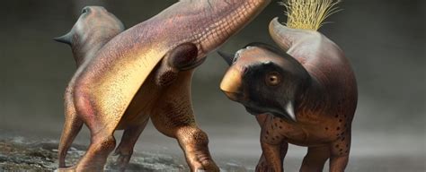 Scientists Described A Dinosaurs Butthole In Exquisite Detail