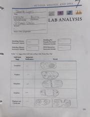 Lab 7 Analysis Pdf Course Hero