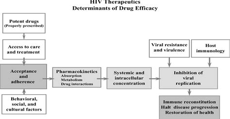 Hiv Medication Adherence The Intersection Of Biomedical Be Jaids