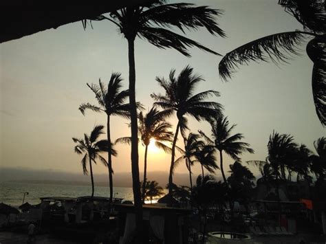 Sex Psychology Webcam Model Profile Xhamsterlive