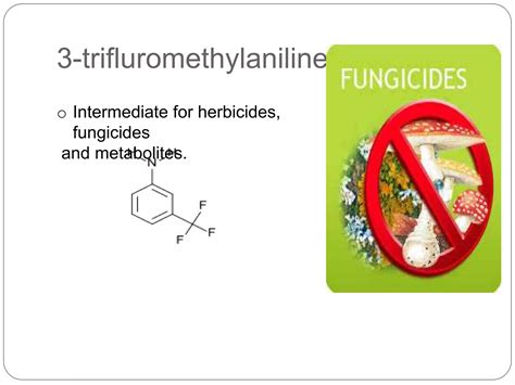Reactions And Pharmaceutical Applications Of Aniline Pptx