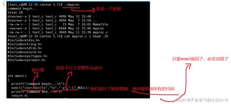 进程控制下（程序替换部分）