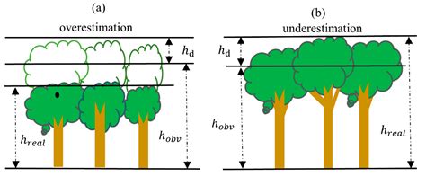Correcting Underestimation And Overestimation In Polinsar Forest Canopy Height Estimation Using