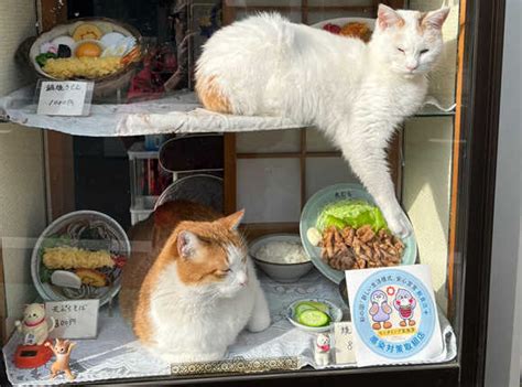 อัลบั้มภาพ ปิดไฟในบ้านหมดแล้ว อยู่ ๆ มีห้องหนึ่งที่ไฟติดมาขึ้นอย่างลึกลับ ก่อนเข้าไปดู