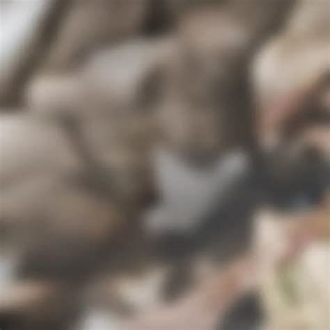 Diagnostic Methods For Porphyria