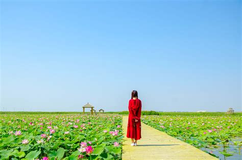 精彩图集 宁夏沙湖旅游官方网站