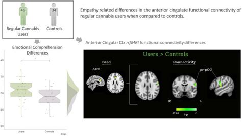 Nancy Domenichelli On Linkedin Empathy‐related Differences In The