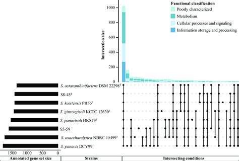 The Number And Functional Gene Classification Of Pan Genomes Between