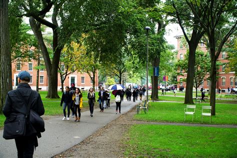 Sex Education That Goes Beyond Sex Desis Senior Thesis