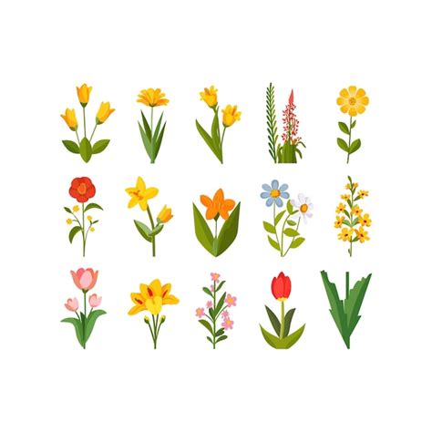 Assorted Cartoon Flowers On White Background Vector Illustration Design