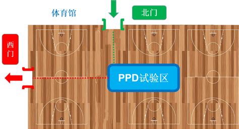 2022级本科新生ppd皮肤试验筛查指南