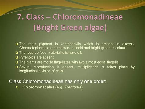 Classification Of Algae Pdf